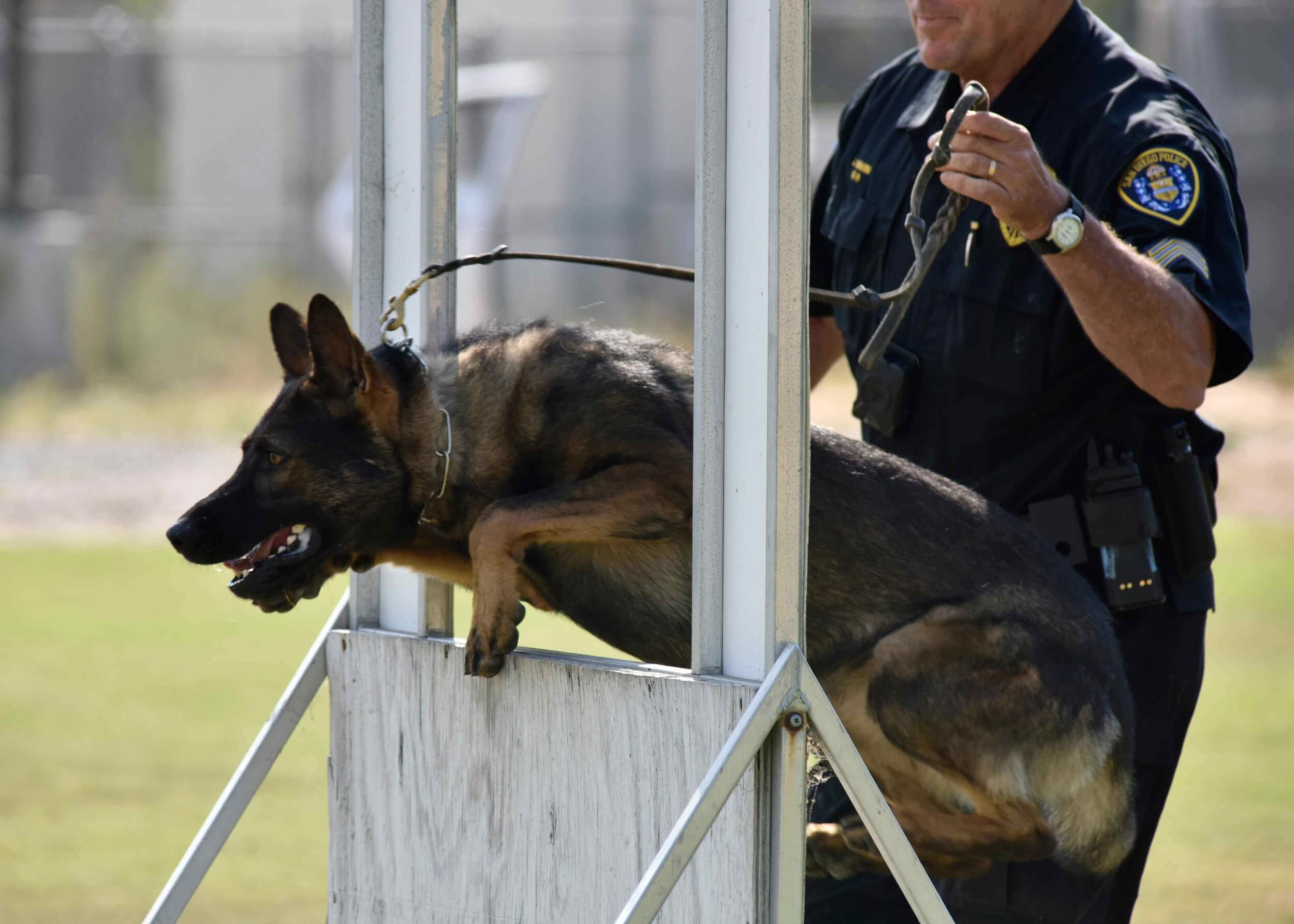 American Tactical Canine Conference | San Diego Police Foundation
